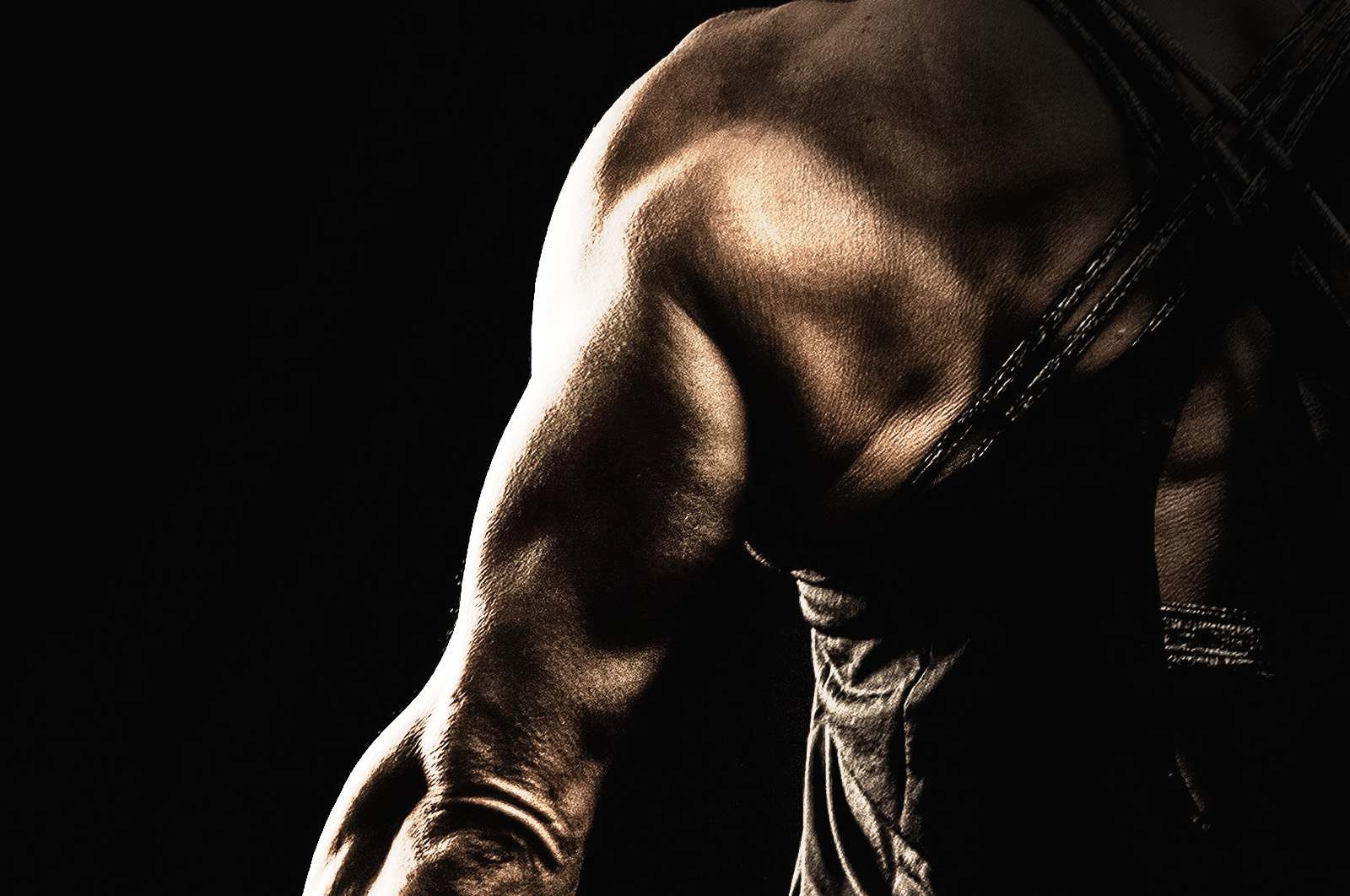 Muscle Study – Brain. Body. Food.